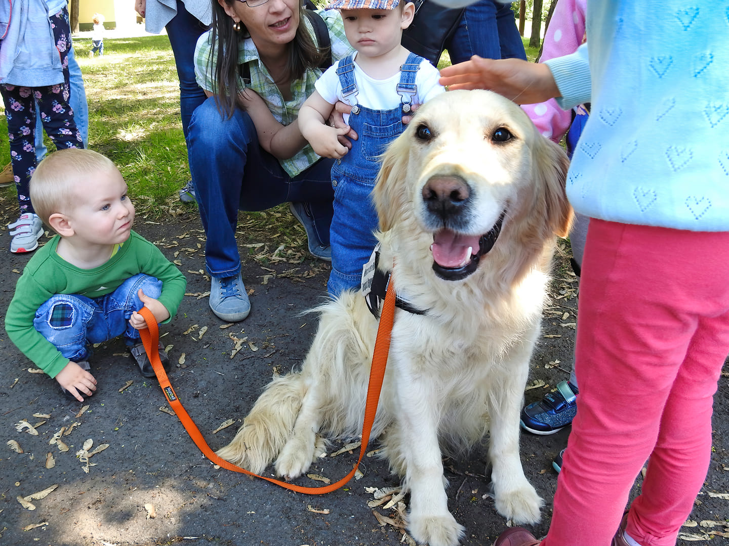 Helytörténeti túrára és kutyás bemutatóra invitál hétvégén a Zsuzsi ...