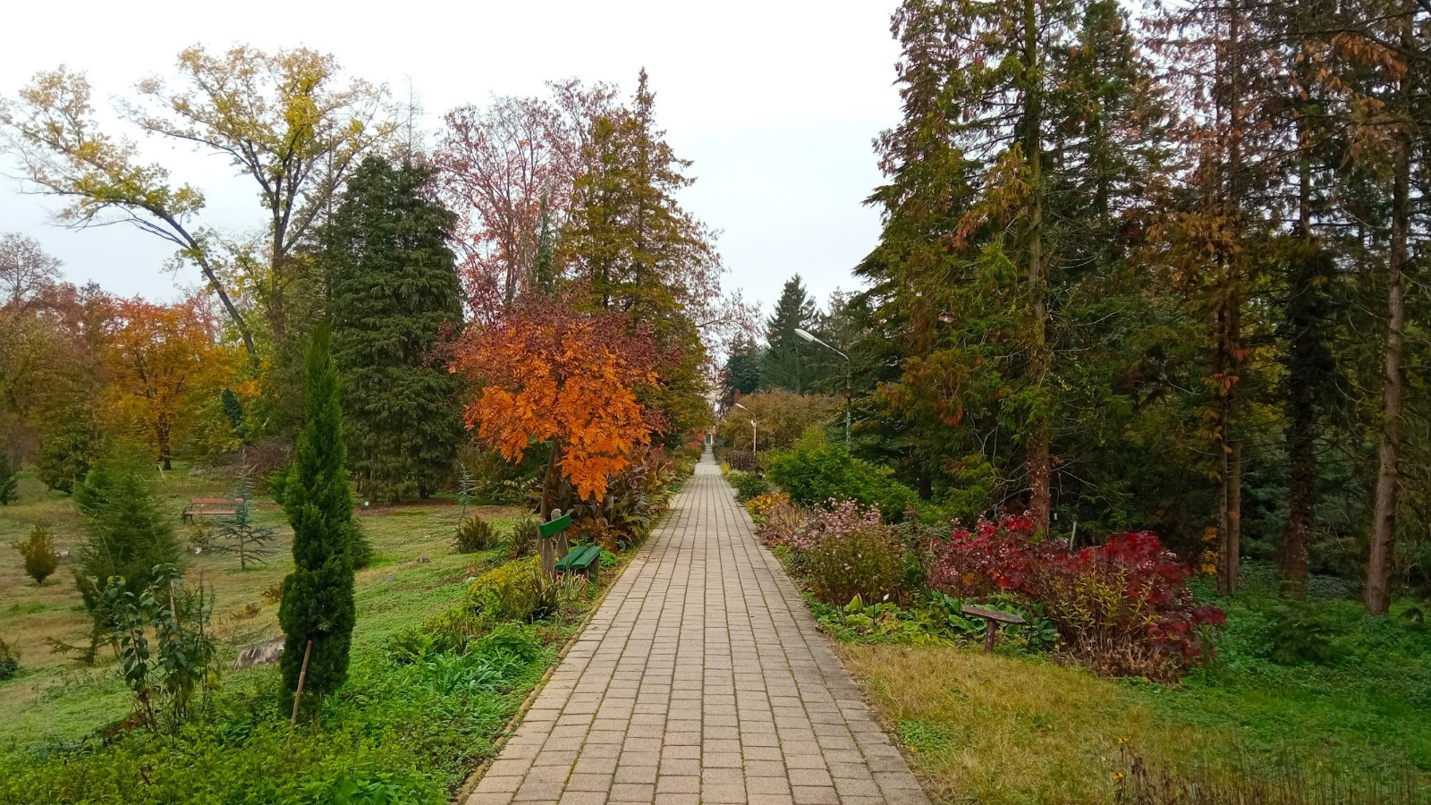 Egyetemi Botanikus Kert – visitdebrecen