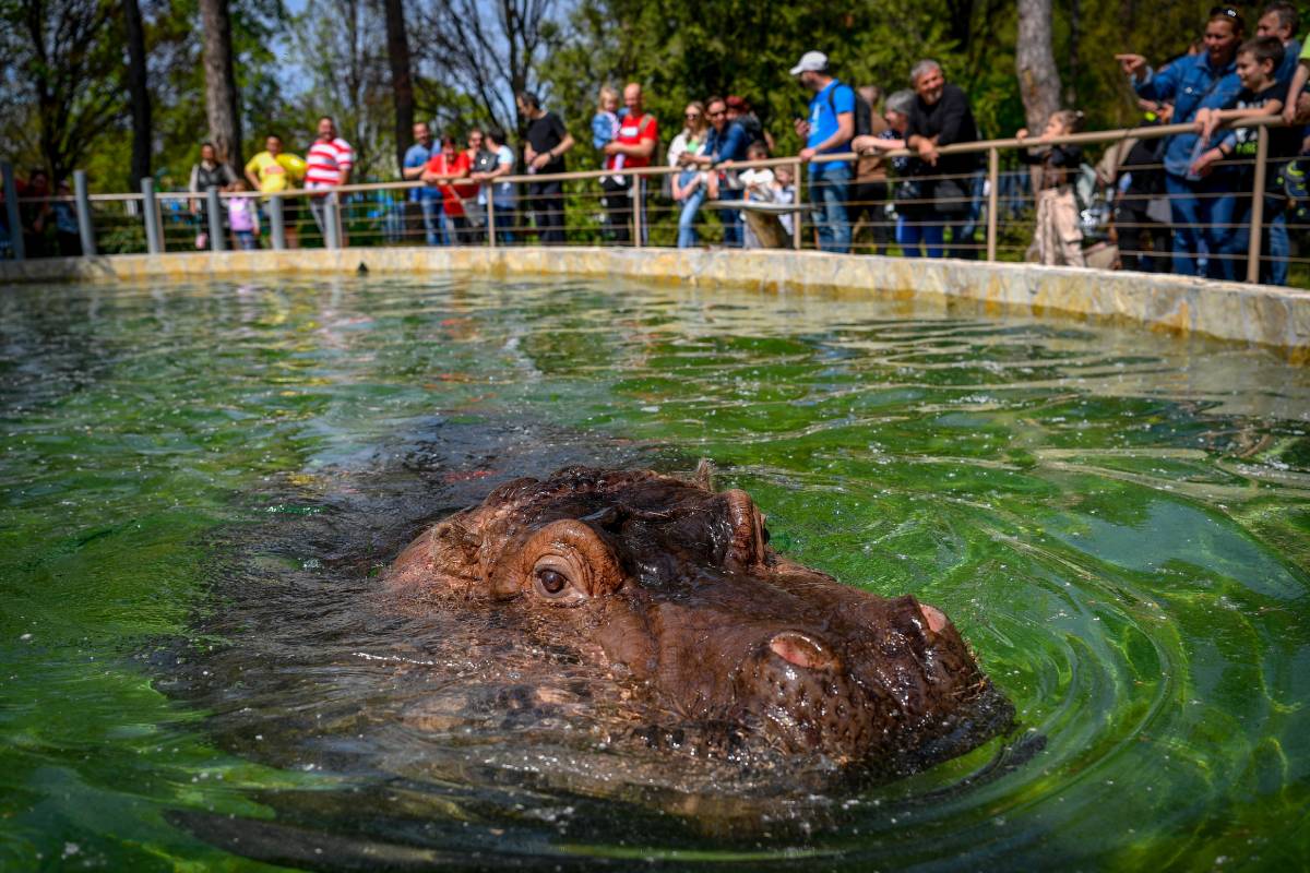 Zoo Debrecen – visitdebrecen