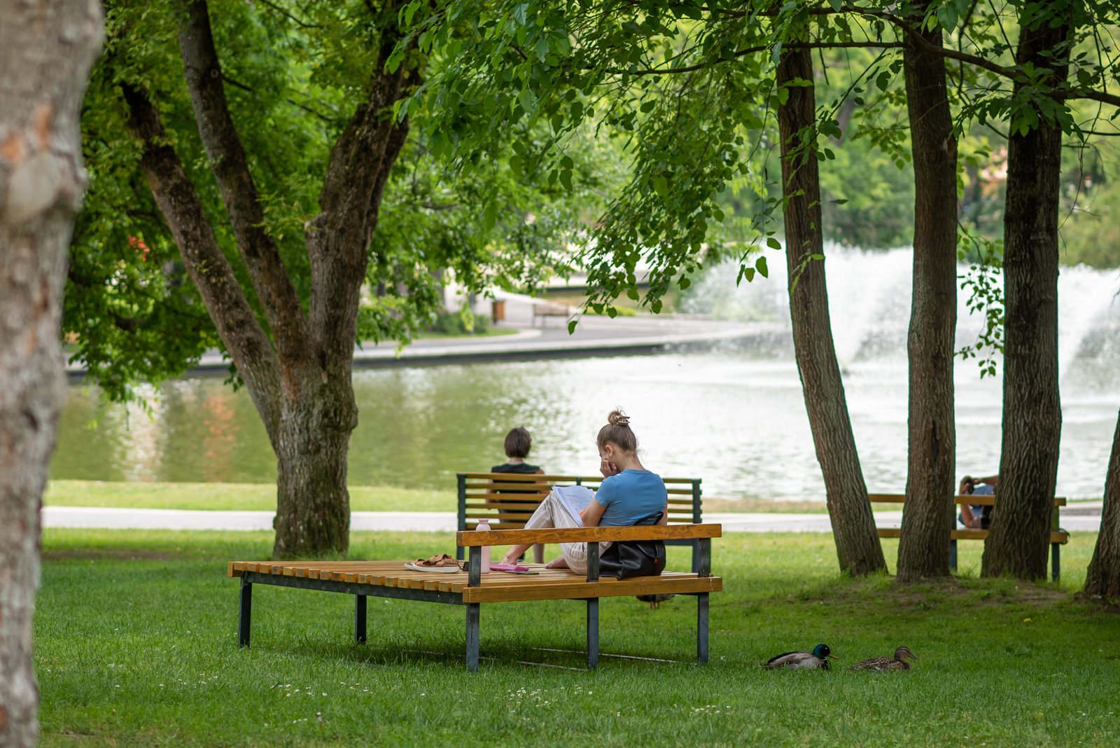 visitdebrecen – Debrecen hivatalos turisztikai weboldala